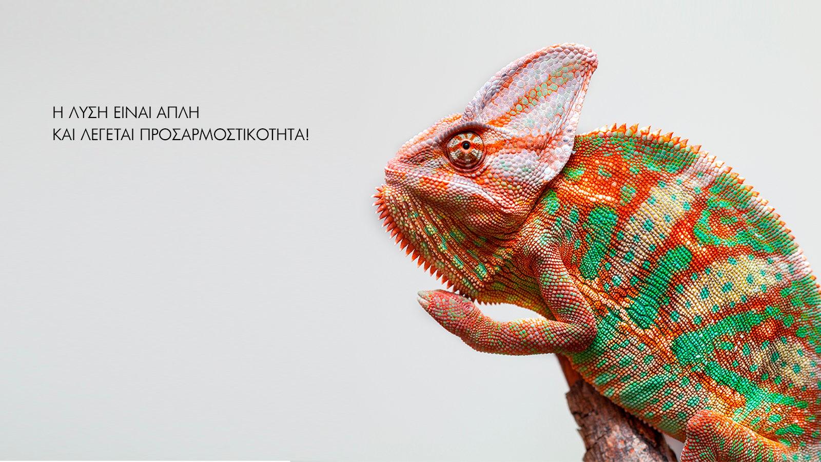 Ο κόσμος του 2020 χρειάζεται ανθρώπους και εταιρείες με νέες ικανότητες!