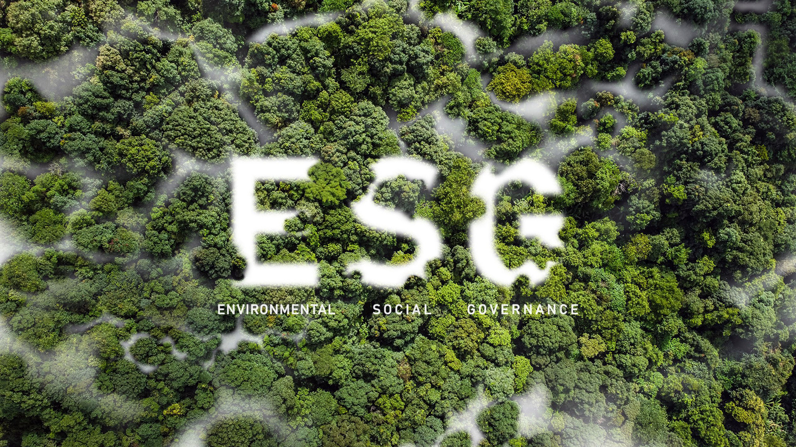 Οι ισχυροί των ESG στην Ελλάδα το 2025