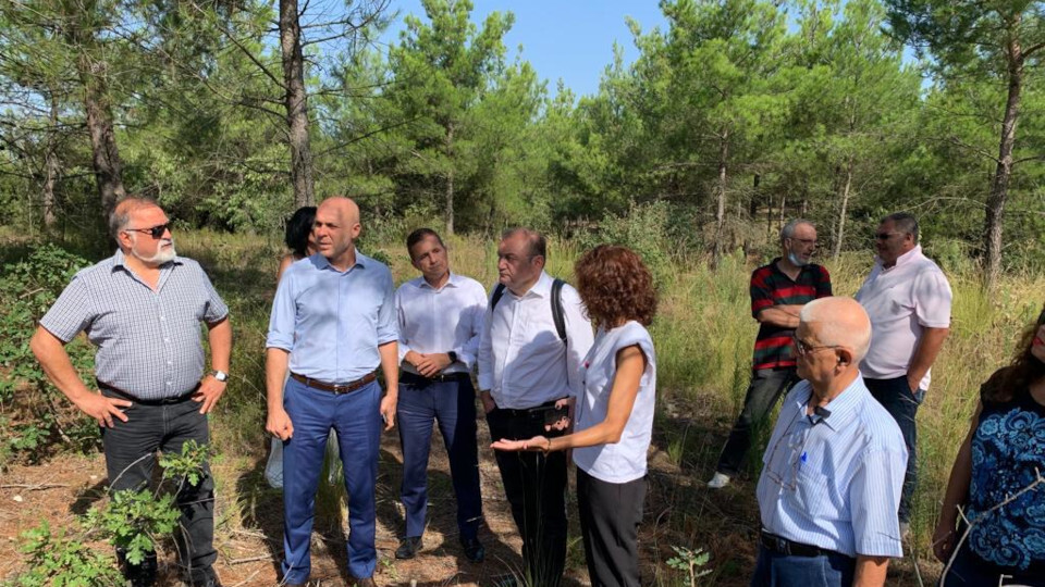 Γ. Αμυράς: «Αναδάσωση με 42.500 πλατύφυλλα στο Σέιχ Σου»