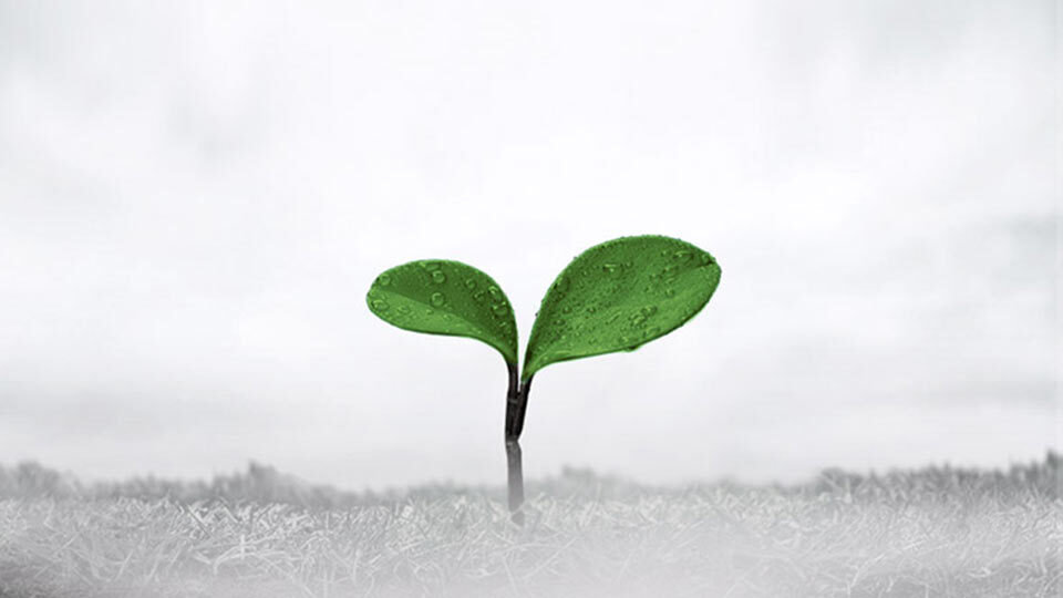 Νέος Κύκλος του Diploma in Evidence-based Coaching από το Athens ...